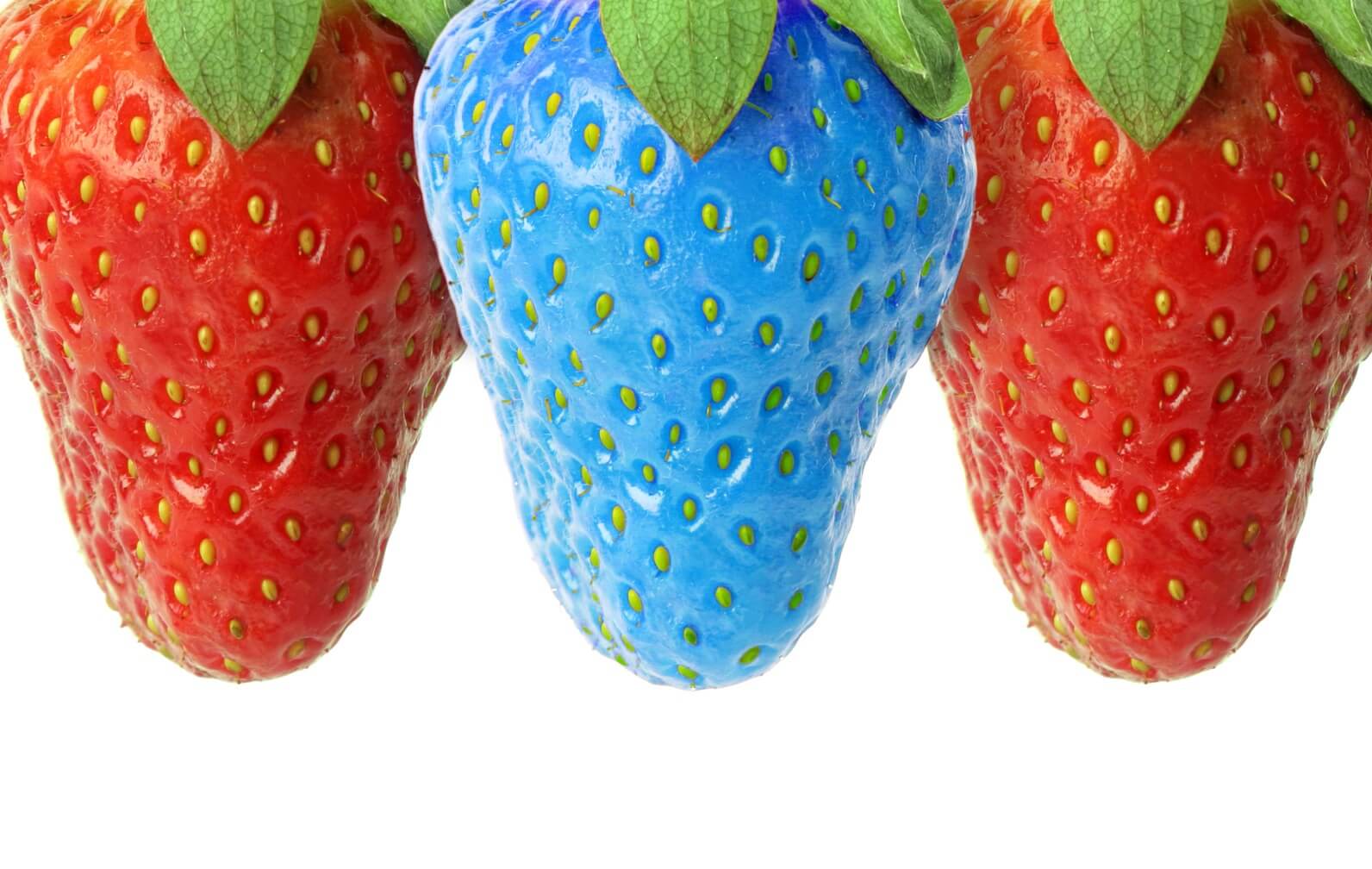 Descubre el futuro de la movilidad con los híbridos: todo lo que ...